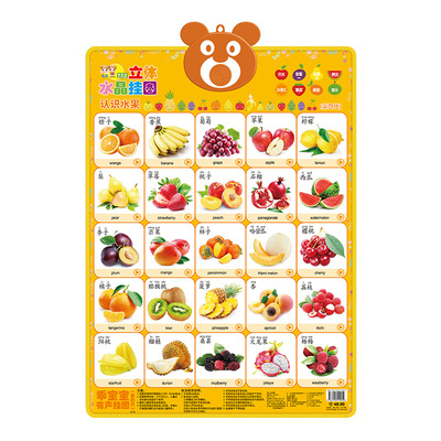 汉语拼音字母表墙贴全能有声挂图