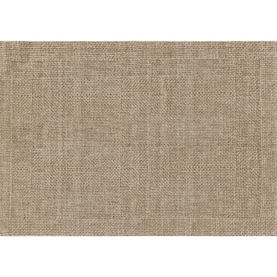 入户垫厚实绒面稳固防滑除尘耐磨