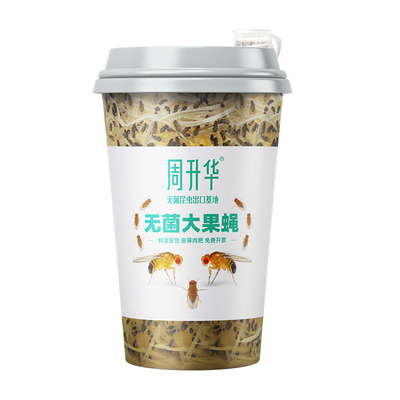 无菌活大果蝇树蛙蜘蛛螳螂蚂蚁粮