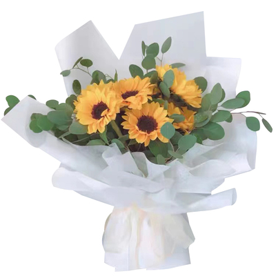 广东省订单满99元顺丰包邮