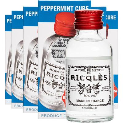 【自营】[详情领优惠]双飞人薄荷药水可内服清凉驱蚊舒缓晕车防困