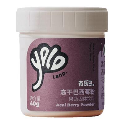 冻干巴西莓粉/巴西进口