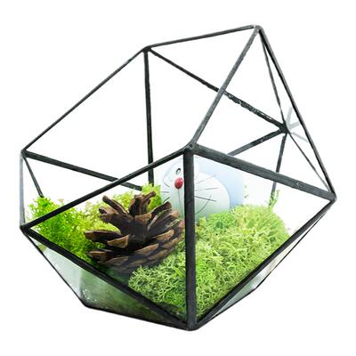 HMT慧明通玻璃花房永生礼品盒