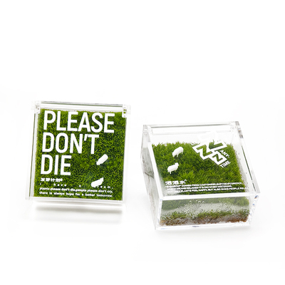 植物杀手的不哭礼物~~