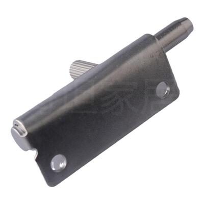 可伸缩F6-20-N1A50WL铁门铰链