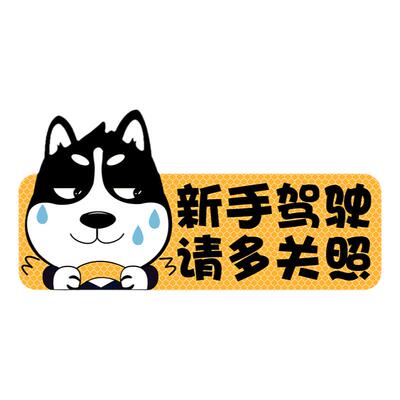 【品质TOP】朋友都用d新手实习贴