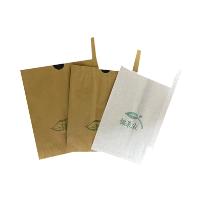 水果专用防虫鸟防日灼霜冻保护袋