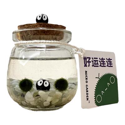 MICROGARDEN海藻球生态懒人植物