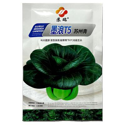 苏瑞墨浪T5苏州青黑叶矮脚种子