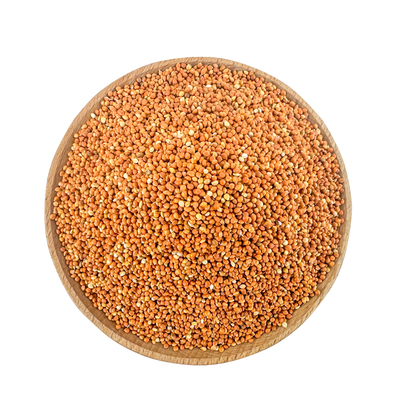 深深宠鹦鸟食带壳红谷子增亮毛色