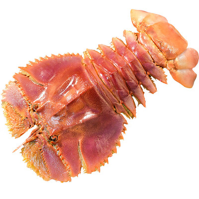 【渔船直供】大号新鲜琵琶虾