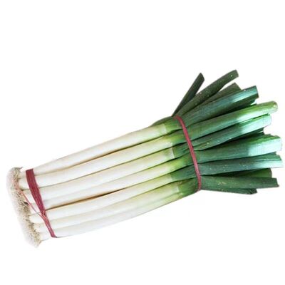 山东铁杆大葱甜葱产地直发