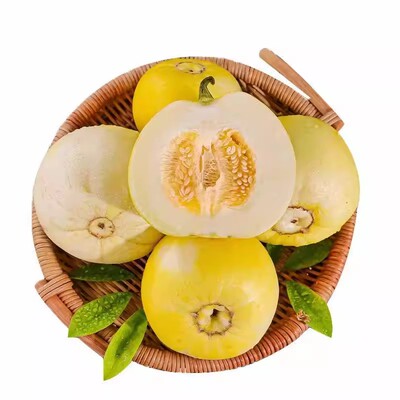 5A级正宗小蜜蜂早甜脆热卖中！
