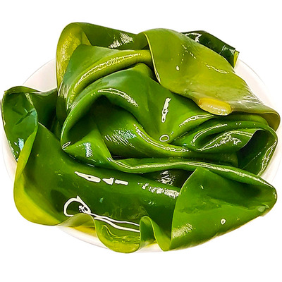 海芝宝新鲜海带深海有机小海带包饭盐渍厚火锅海带头边整片