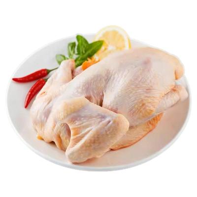 四海风物散养跑山土公鸡老母鸡