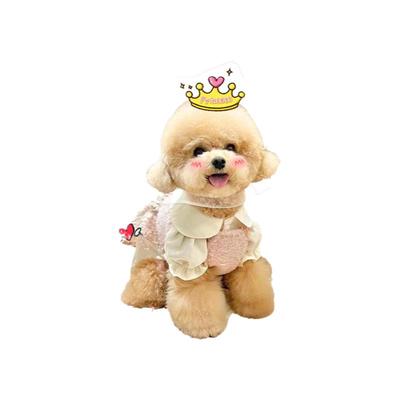 太阳能自动摇头摆件宠物照片定制