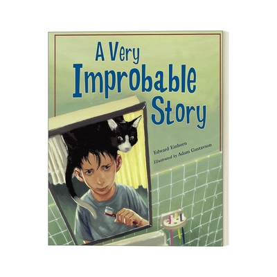 一个可能性很小的故事