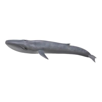 【88834蓝鲸】CollectA官方授权正版动物模型