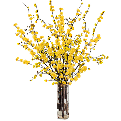 【满屋飘香】腊梅鲜花水培年宵花