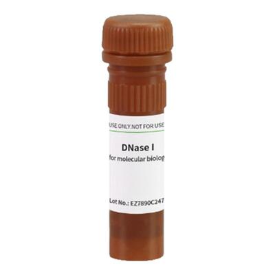 BioFroxx 1121MG010 脱氧核糖核酸酶I DNaseI  10mg