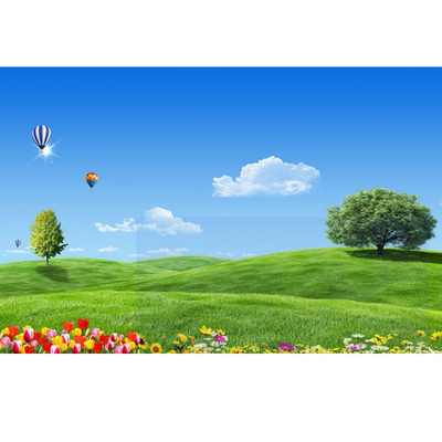 贴纸客厅墙面贴画风景画电视背景