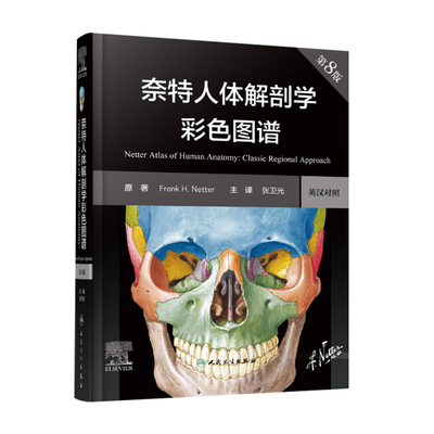 奈特人体解剖学彩色图谱 第8八版 翻译新版临床医学外科学教材书系统局部解刨学解破学书籍人卫图鉴正常医学全彩格氏耐特基础法医