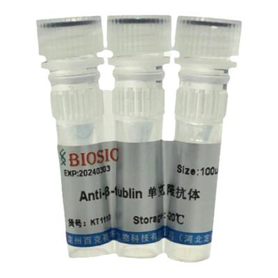 Anti-β-Tubulin Monoclonal antibody 实验用单克隆抗体