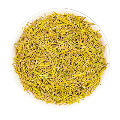 2025年正宗黄金芽500g一斤装浓香