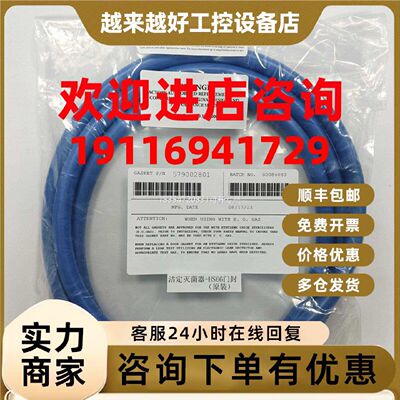 议价GETINGE/洁定HS66灭菌器门封（原装）