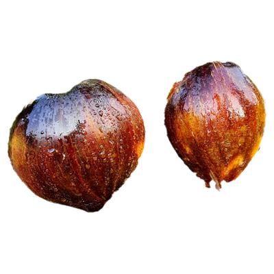 传家宝番茄种子叛军星际战士超甜