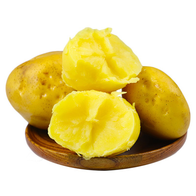 正宗甘肃定西沙面土豆新鲜黄皮黄心洋芋农家新鲜现挖小土豆马铃薯