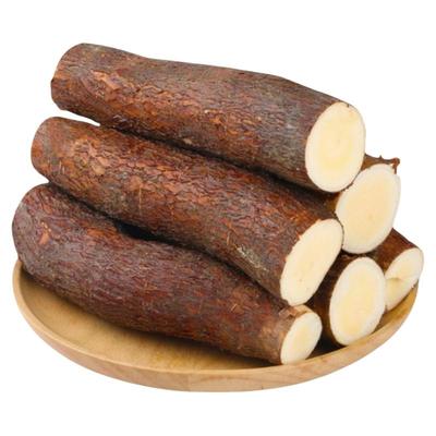 【糖水店同款】黄心面包木薯粉糯