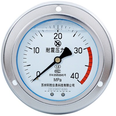 YN100ZT面板式耐震压力表