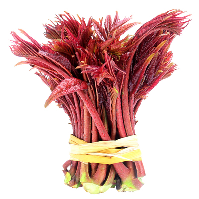 顺丰包邮！26年红香椿芽尖露天当季新鲜蔬菜特产露天嫩椿芽春天