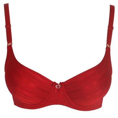 经典款华宝莉有钢圈两排扣AB杯