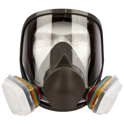 6800生化防尘毒甲醛防护头罩面罩