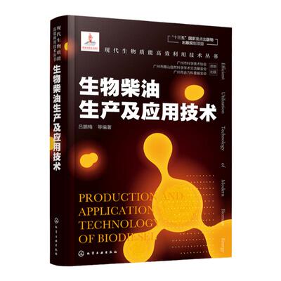 现代生物质能高效利用技术丛书 生物柴油生产及应用技术 吕鹏梅 生产生物柴油的现状发展趋势及制备方法书籍 生物柴油生产工艺设计