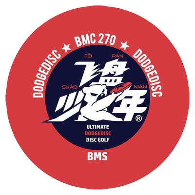 飞盘少年270小学训练比赛飞盘