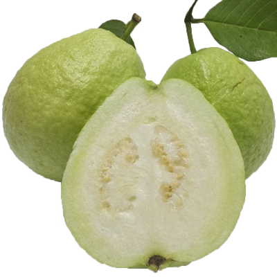 抢！广西脆软白心芭乐5斤装