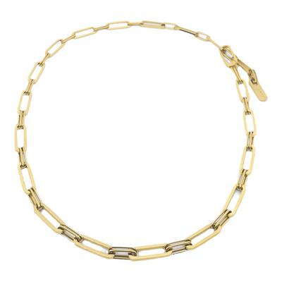 AVIVA×ALP联名款多种戴法锁骨链