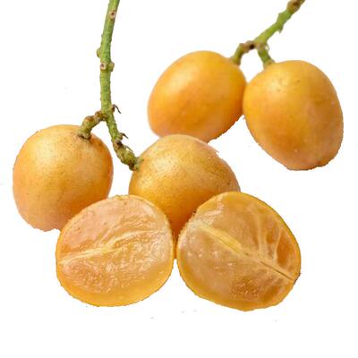 广东黄皮果孕妇水果无核黄皮果