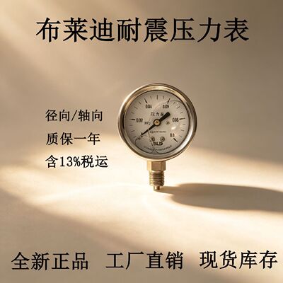 议价BRADY布莱迪耐震压力表径向轴向不锈钢全新正品工厂直销