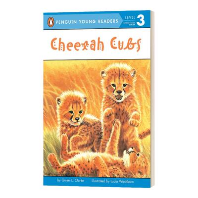 Cheetah Cubs 猎豹幼崽3级 企鹅分级读物 英文原版