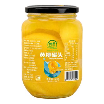 510g椰海源新鲜水果罐头