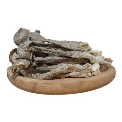 鹿茸菇干货无硫磺鹿茸菌净重500g