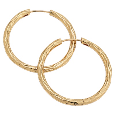 RetroChic伊甸园树纹耳圈小号