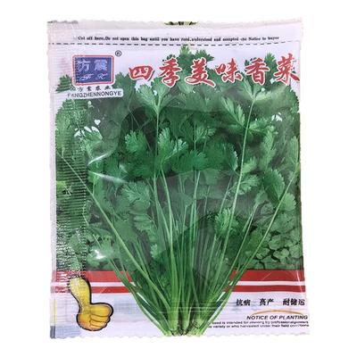 方震四季叶菜香菜种子耐寒耐热