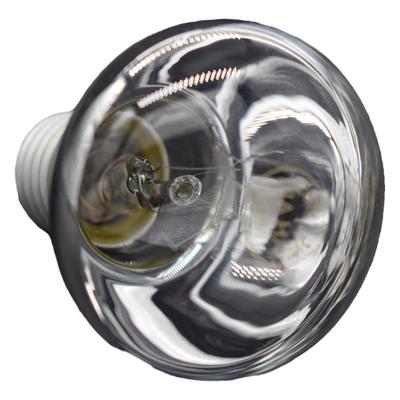 浴霸中间照明led灯泡小灯230v