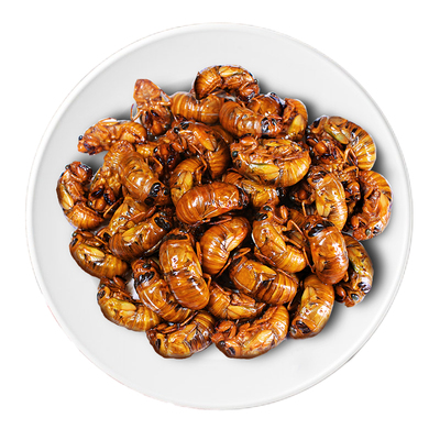 大个肉知了猴金蝉节流龟唐生