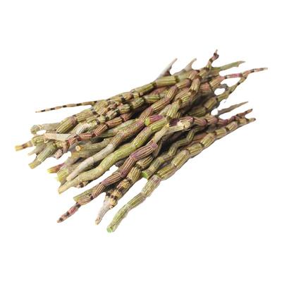 新鲜铁皮石斛深山种植250g